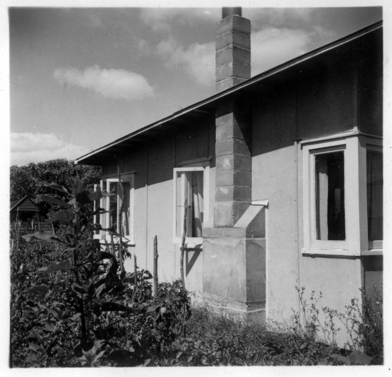 The House – Frank Sargeson